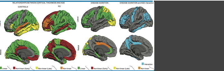 Mitochondrial Dysfunction in Alzheimer’s Disease and the Rationale for ...