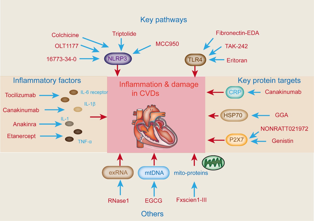 Therapeutics targeting mtDAMPs and related signaling molecules in ...